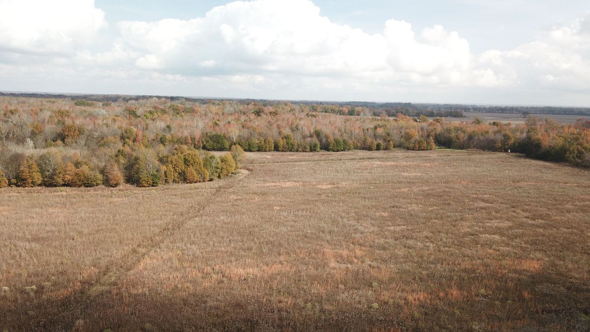 Fertile Soils And Cropland, Hunting | Whitetail Properties
