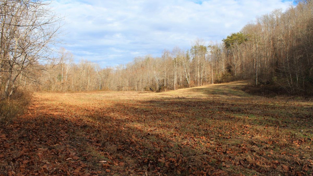 Mountain Property With Beautiful Stream Frontage | Whitetail Properties