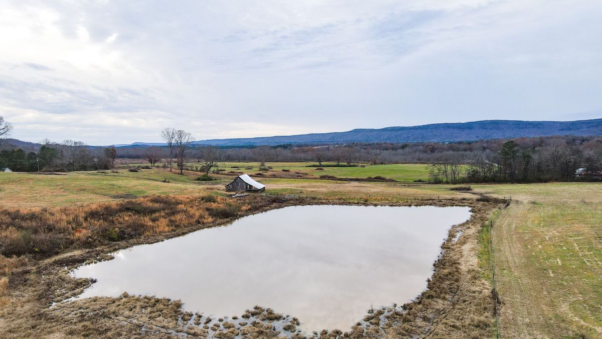 Awesome Homesite Overlooking Pond And Barn | Whitetail Properties