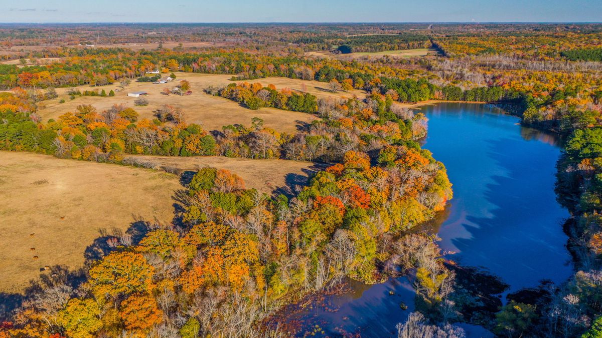 Denman Lake Ranch Near Overton TX | Whitetail Properties