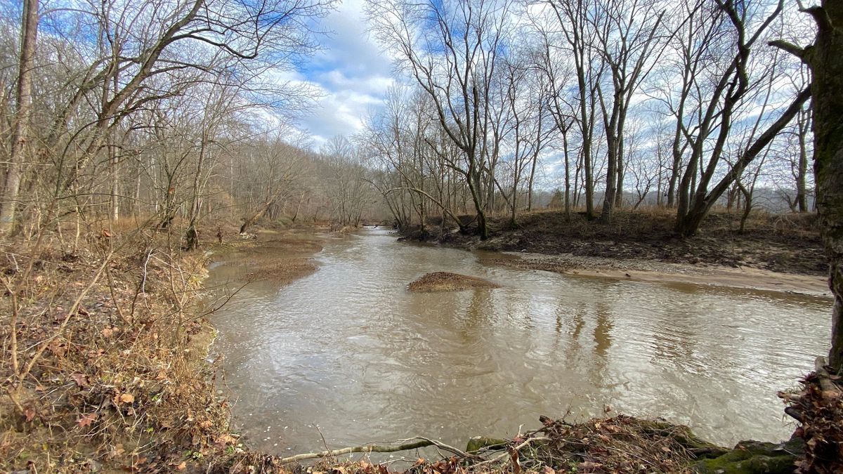 Beautiful Property With Mature Timber And Build Sites In Southwest OH ...