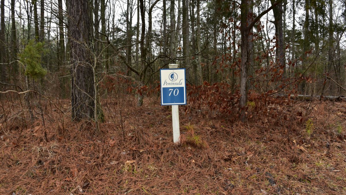 The Peninsula Subdivision Lot With Lake Of Egypt Access | Whitetail ...