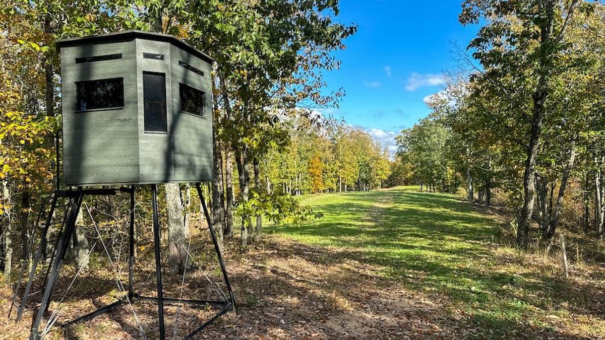 Turn-Key Hunting Farm With Managed Food Plots, Blinds, And Trophy ...