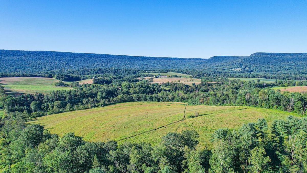 Build Your Dream Home With Secluded Farm Country Views | Whitetail ...