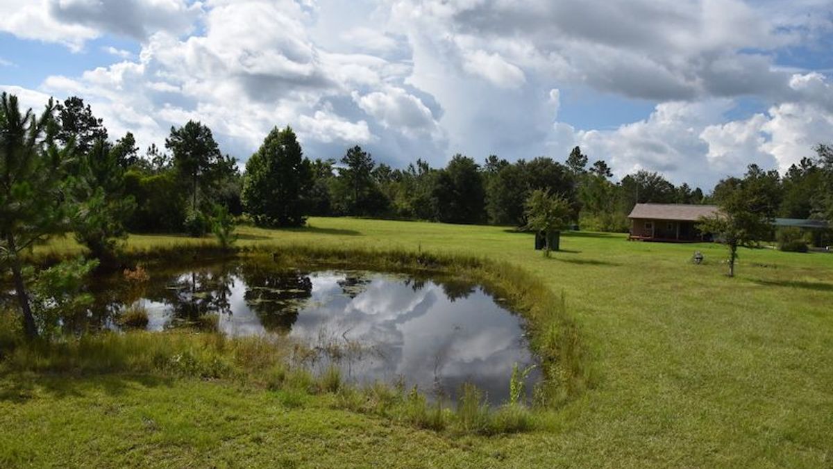 Remote Hunting Property With Solar Powered Cabin | Whitetail Properties