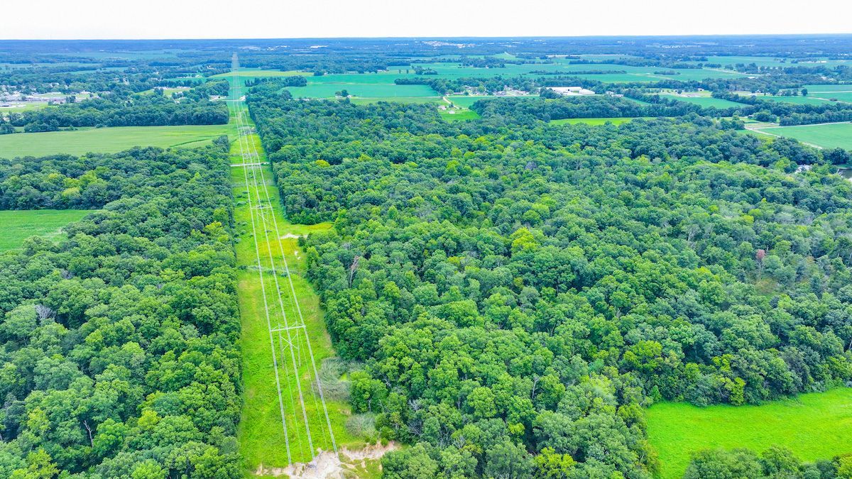 Mostly Timber Hunting Tract For Sale Near Rend Lake | Whitetail Properties