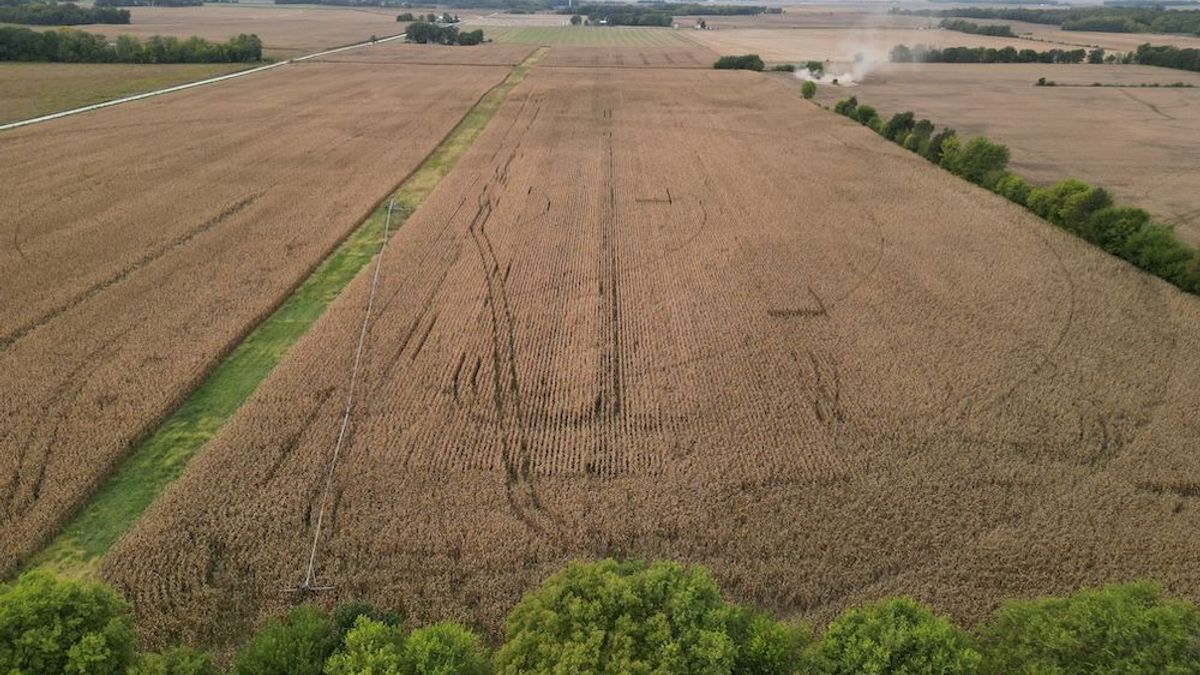Land Auction-Mason Co IL-Excellent Tillable Tract With Perfect Home ...