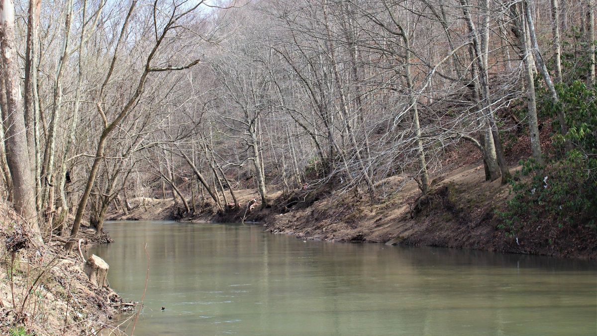 Beautiful Mountain Hunting Property | Whitetail Properties