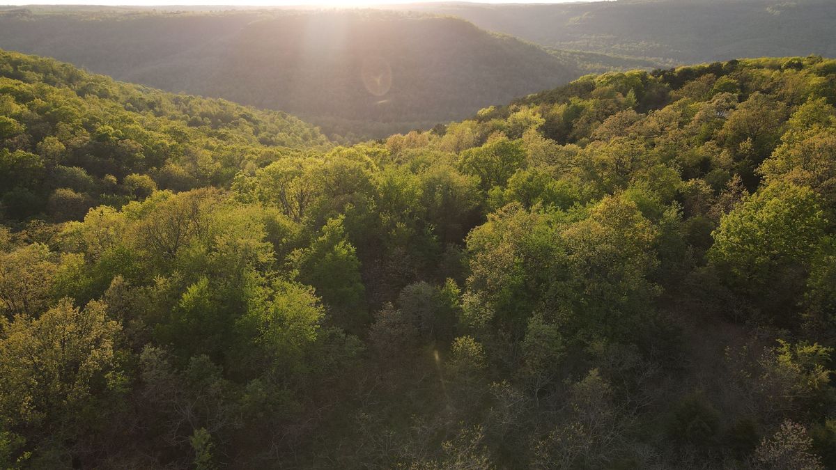 Stunning Building Tract With Hardwood Timber, Views And Massive Bluffs ...