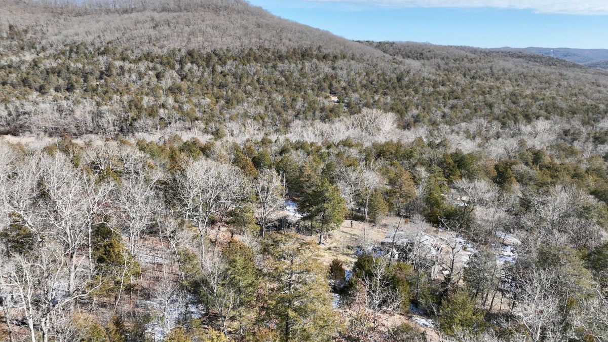 Breathtaking Buildable Property Near Beaver Lake | Whitetail Properties