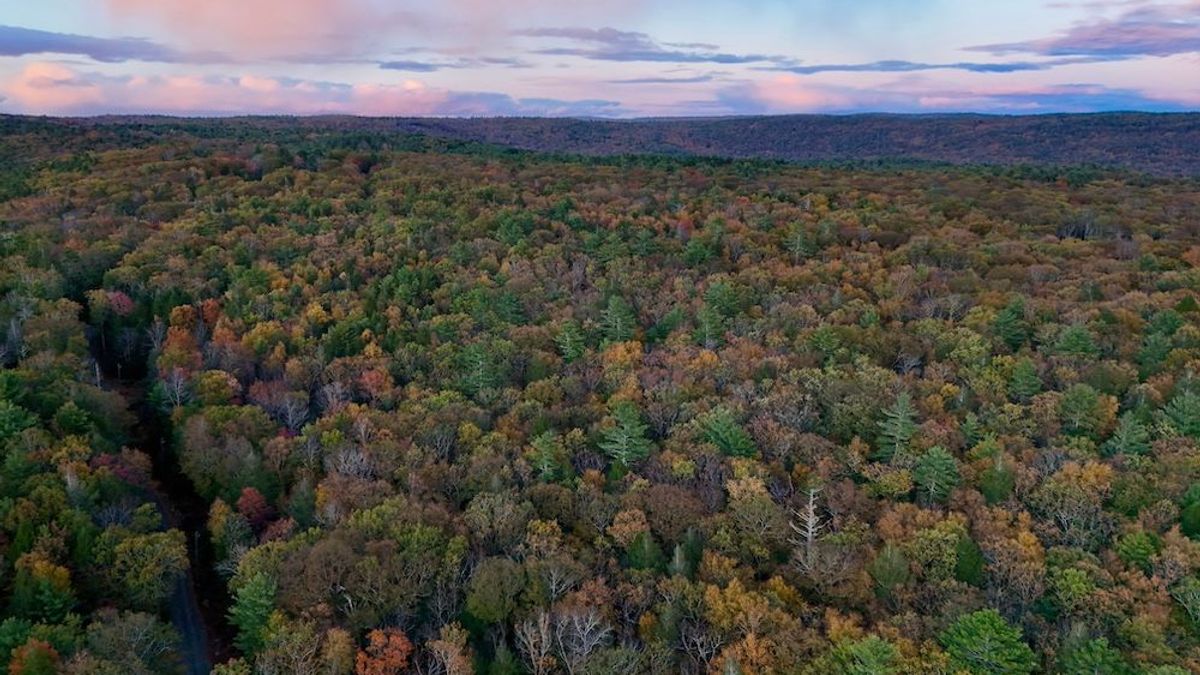 Peaceful Country Setting Offering Potential Building Opportunity Just ...