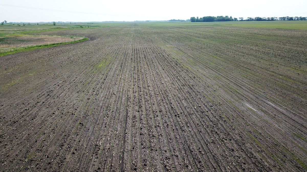 Grant County MN Acreage With Tillable And CRP | Whitetail Properties