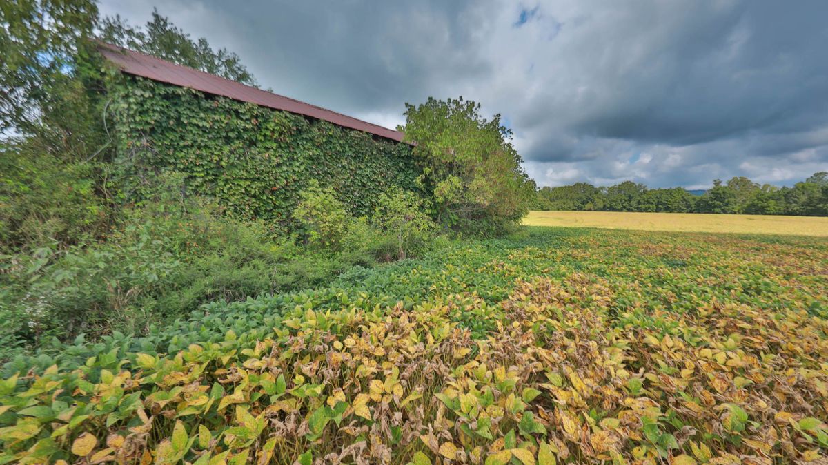 Fertile Crop Ground With Recreational Opportunities In Northeast KY ...