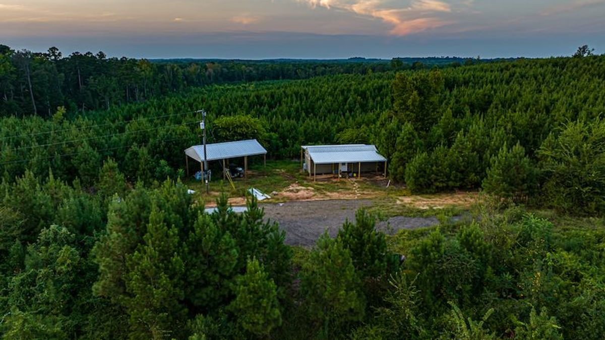247.4 ± Acre Hunting Land With Cabin In Kemper County, MS | Whitetail ...