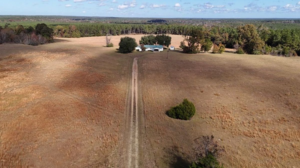 Winn 78± Acres – Country Home, Pasture & Pine Plantation with Income ...