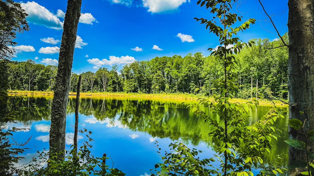 Spacious Legacy Farm With Private Lake In Freedom, IN | Whitetail ...