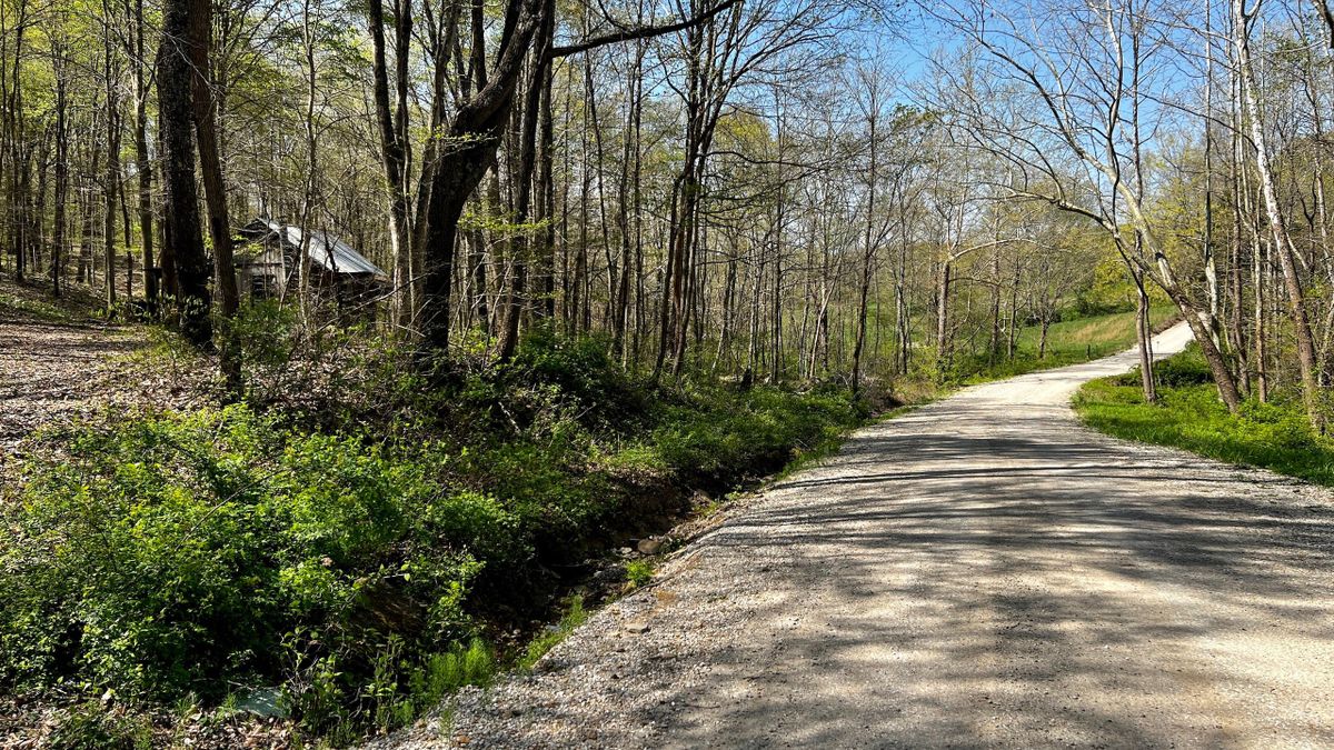 Perfect Hunting And Recreational Tract Surrounded By Hoosier National ...