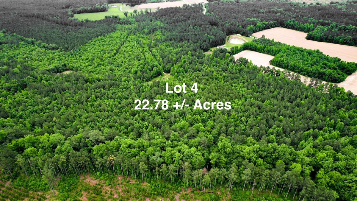 Secluded Rural Lot in a Great Location | Whitetail Properties