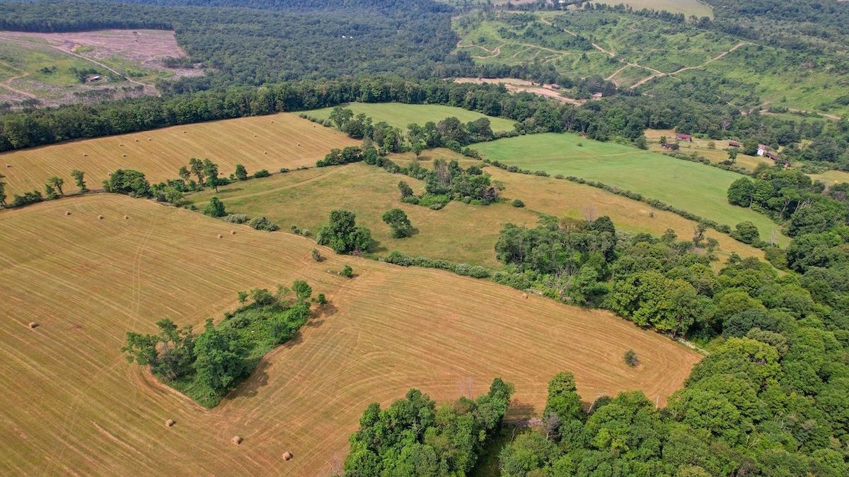 Organic Hay Farm With Hunting And Buildable Acreage | Whitetail Properties