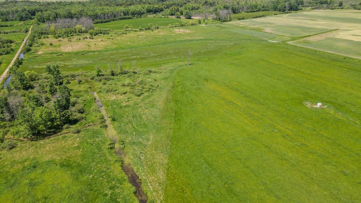 Vacant Land With Fields, Tillable, Woods, Road Frontage | Whitetail ...