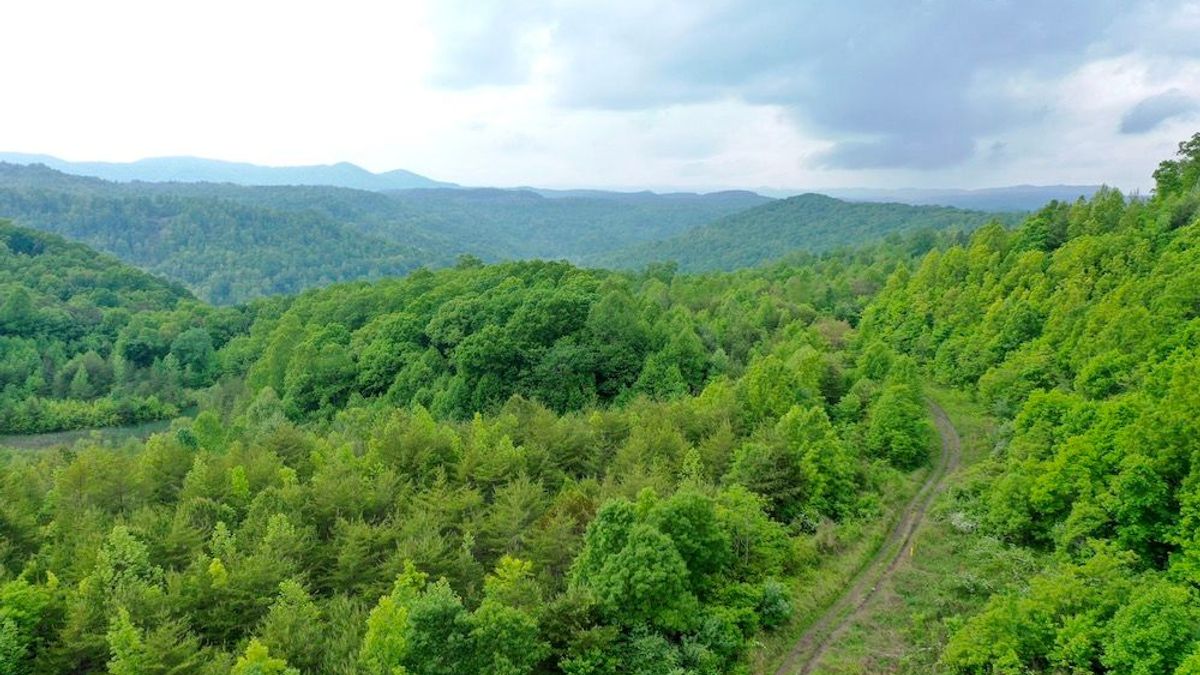 Expansive, Remote Mountain Property That Offers Trails, Multiple ...