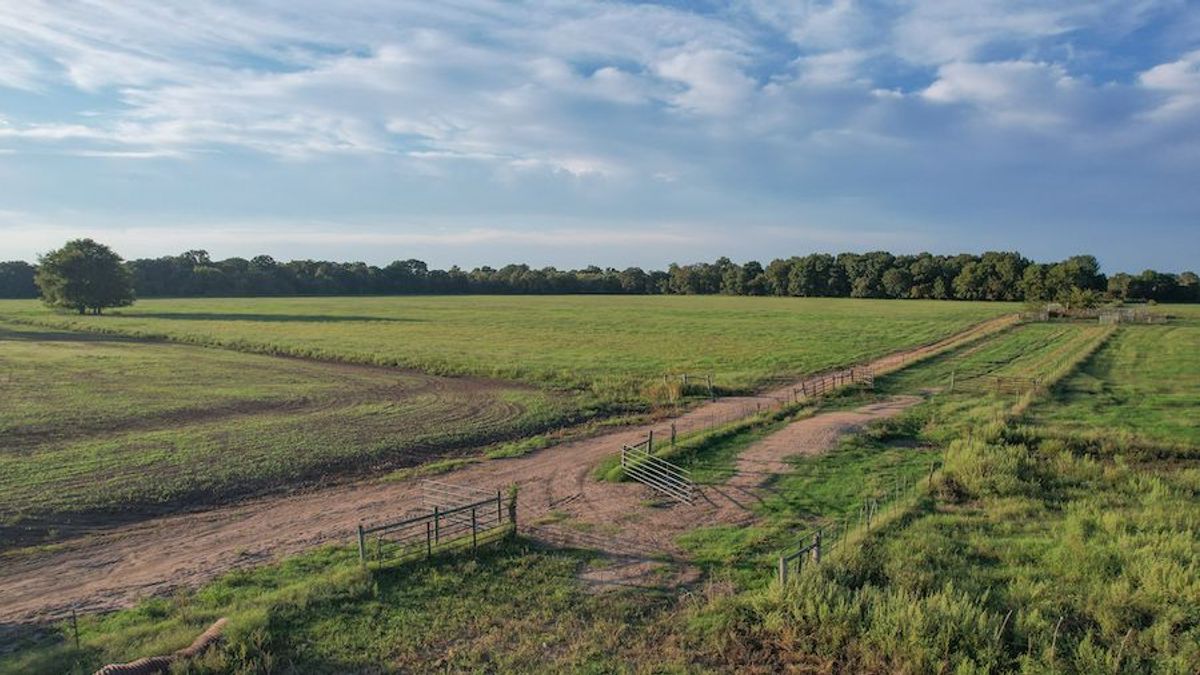 Cattle Ranch Near Red River | Whitetail Properties