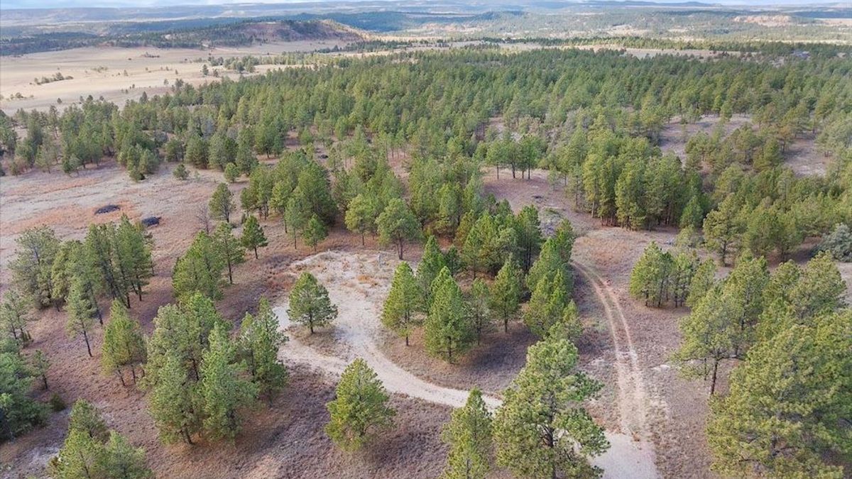 5-Acre Canyon Rim Ranch In Custer County | Whitetail Properties