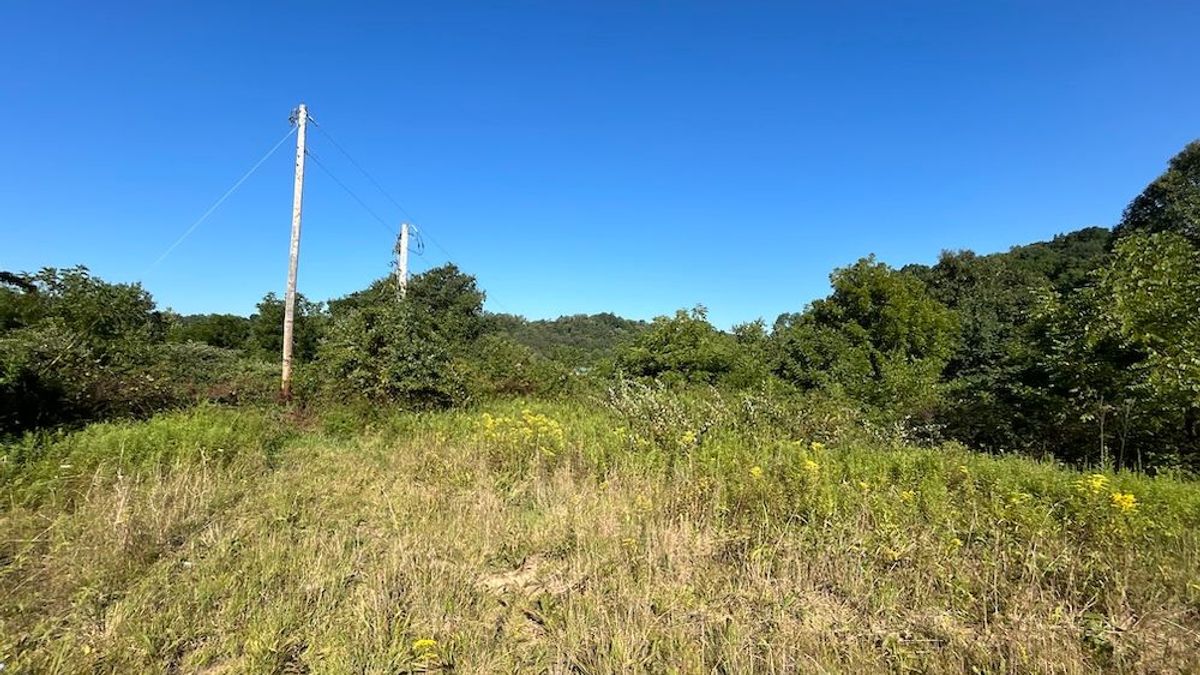 Economical Hunting And Building Tract. | Whitetail Properties