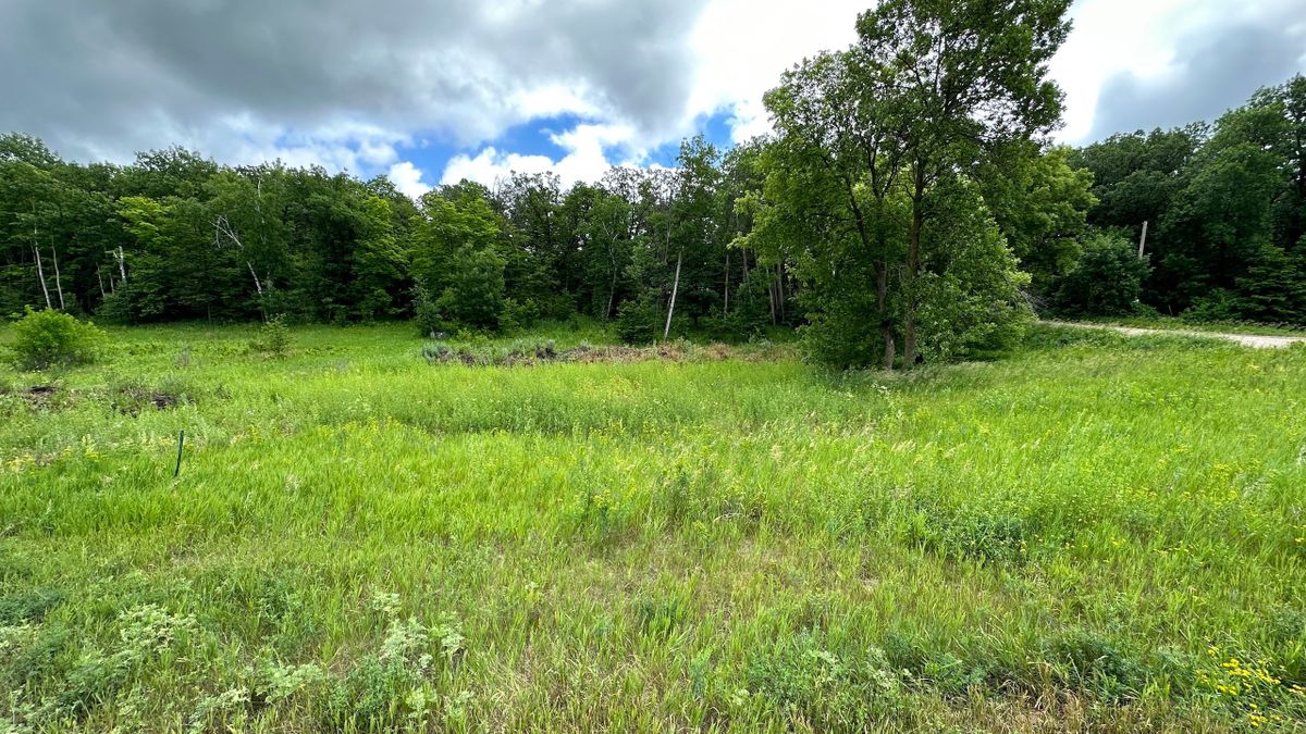 Choice Building Lots In Detroit Lakes | Whitetail Properties