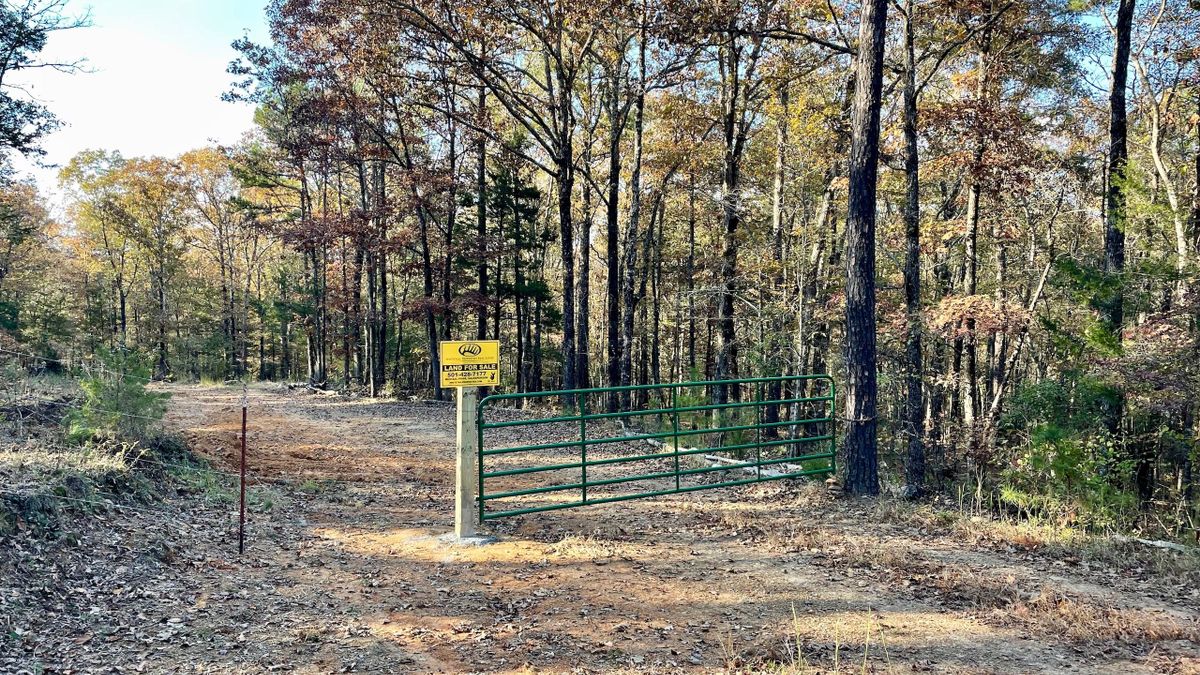 Buildable Rural Acreage | Whitetail Properties