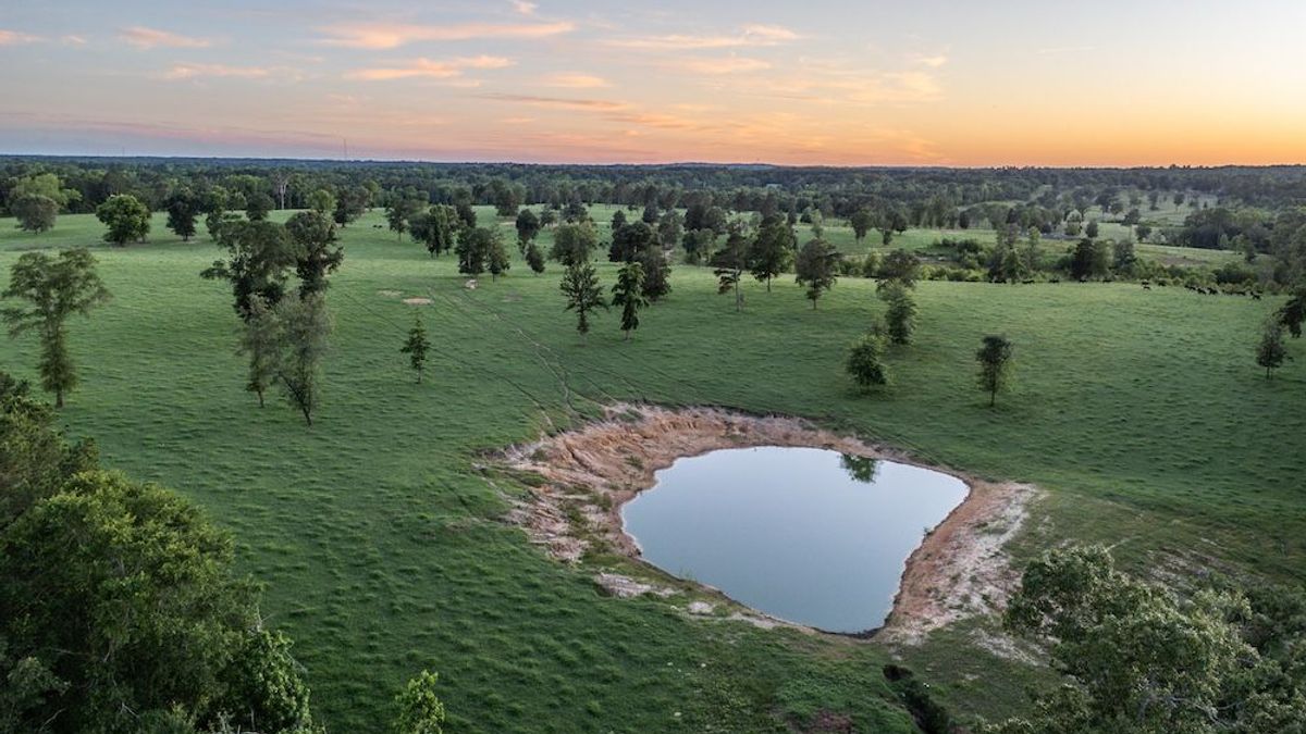 Twin Ridge Ranch | Whitetail Properties