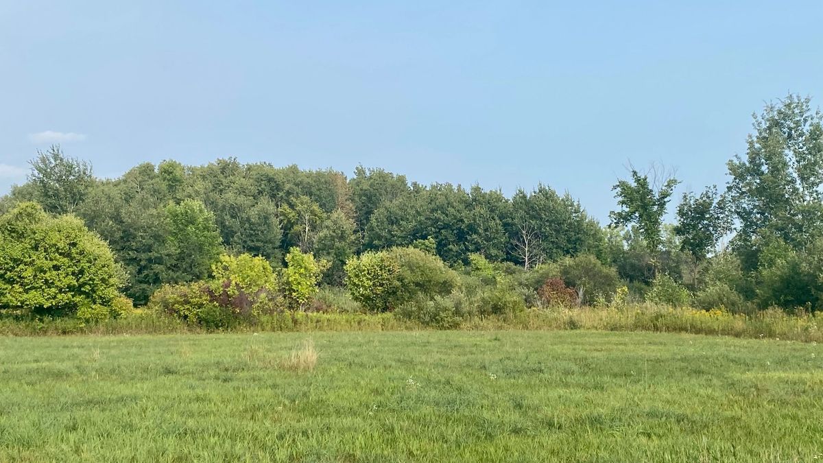 Buildable Land For Your Country Home | Whitetail Properties