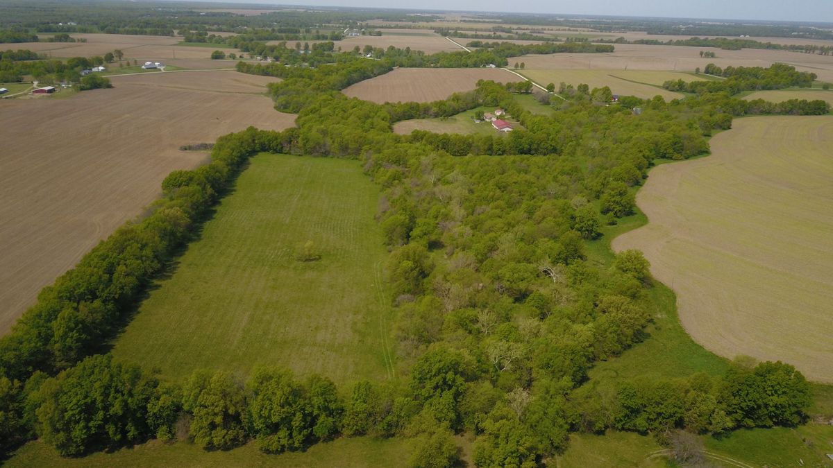 Secluded Pasture And Timber Property Near Mexico With Build Site ...