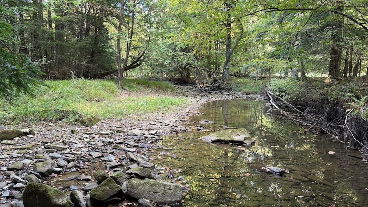 Scenic Hunting Land Along Irvine Run In Warren County | Whitetail ...