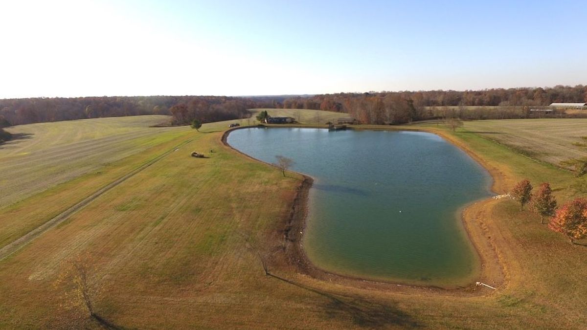 500 Acre Casey County Income Producing Recreational Farm | Whitetail ...