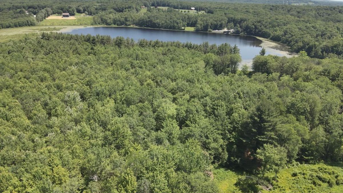 Waterfront: Partially Finished Home, Utilities, Garage, Barns, Quiet ...