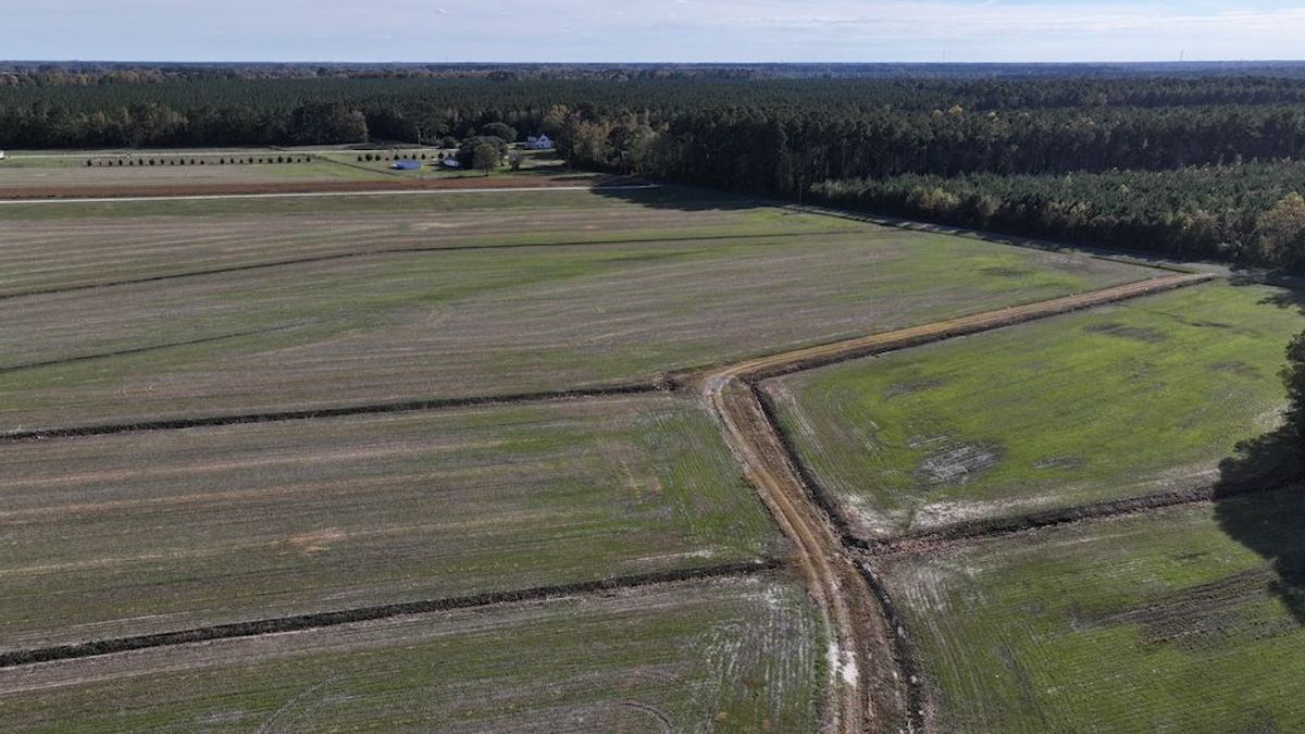 Sutton Farm: North Side Prime Agriculture Potential | Whitetail Properties