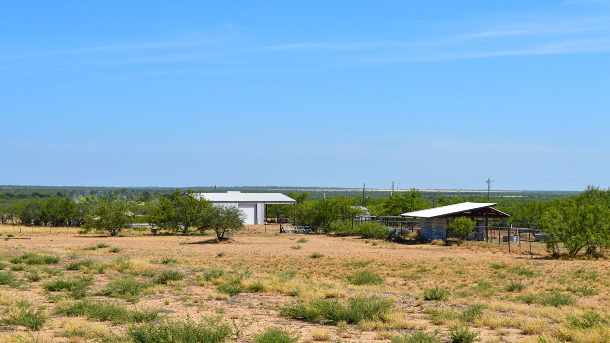 Irrigated Land With Great Hunting and Barndominium | Whitetail Properties