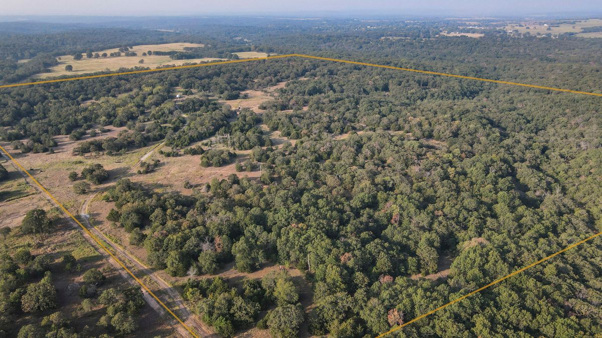 Solid Hunting Quarter Along Otter Creek | Whitetail Properties