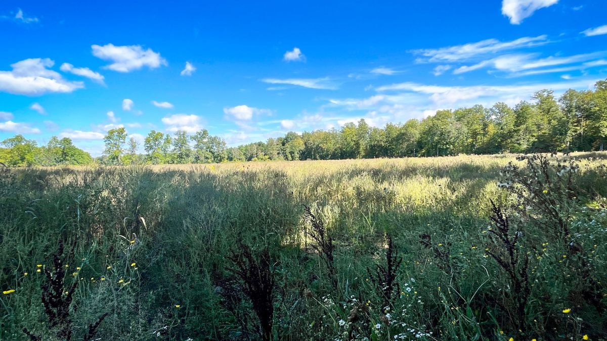 Diversified Flatland Tract With Tillable And Timber | Whitetail Properties