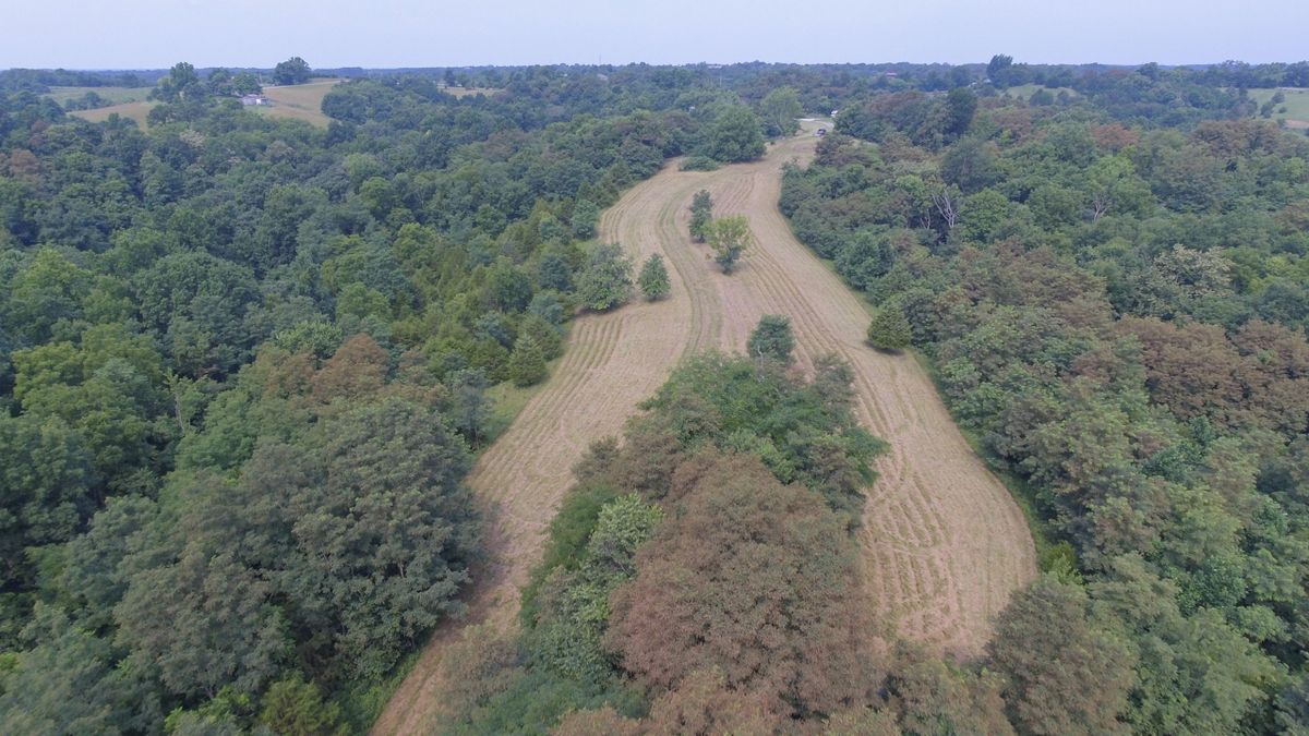 Recreational Farm With Multiple Building Sites, Minutes From I-75 ...