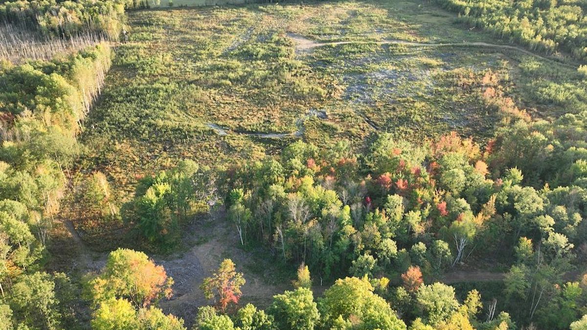 Gorgeous Wooded/Buildable Hillside Overlooking Logged Area Now Holds ...