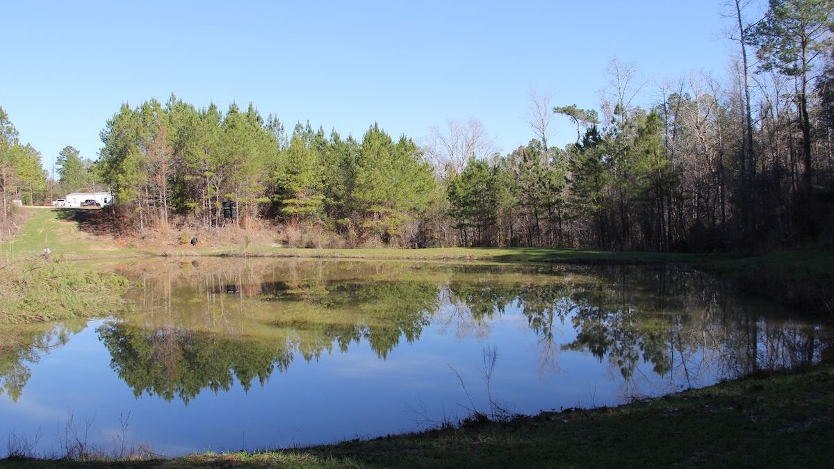 Affordable Turn Key Tract Adjoining The Homochitto National Forest ...