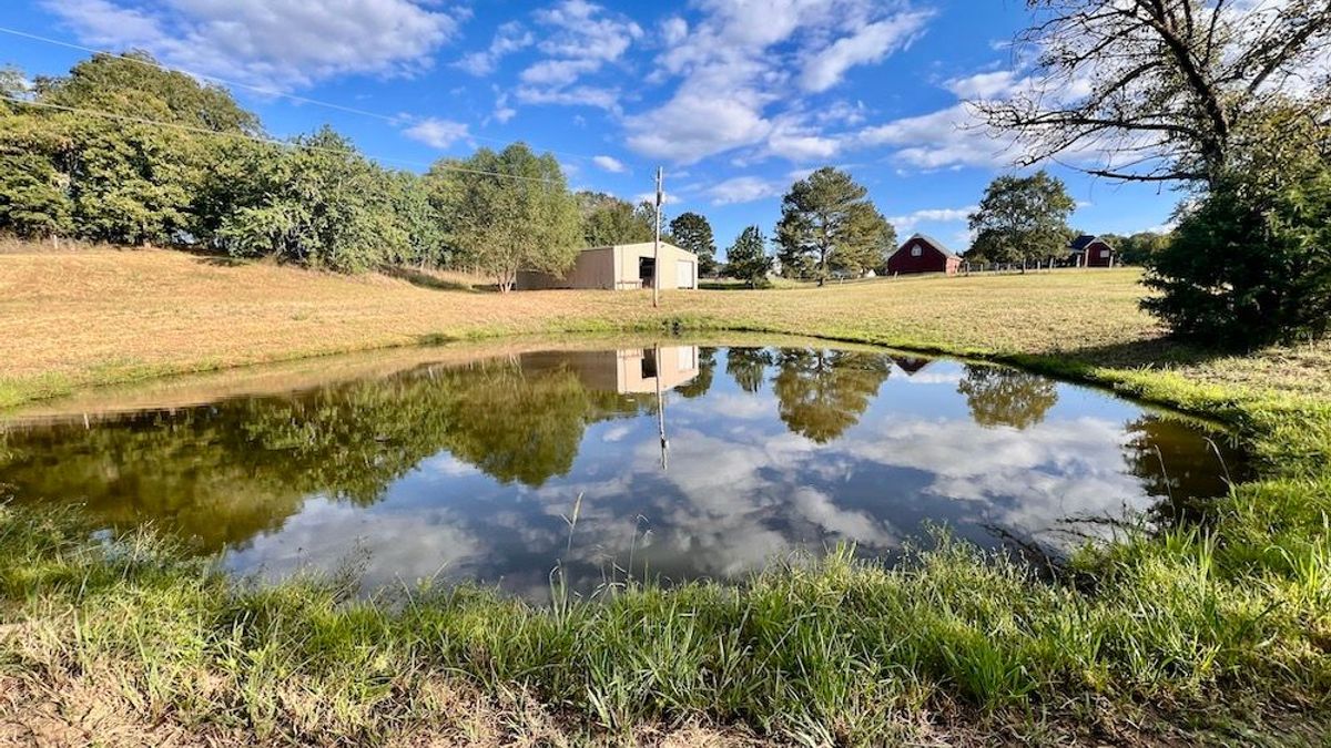 Ultimate Small Farmstead With Barn, Pond And Stream | Whitetail Properties