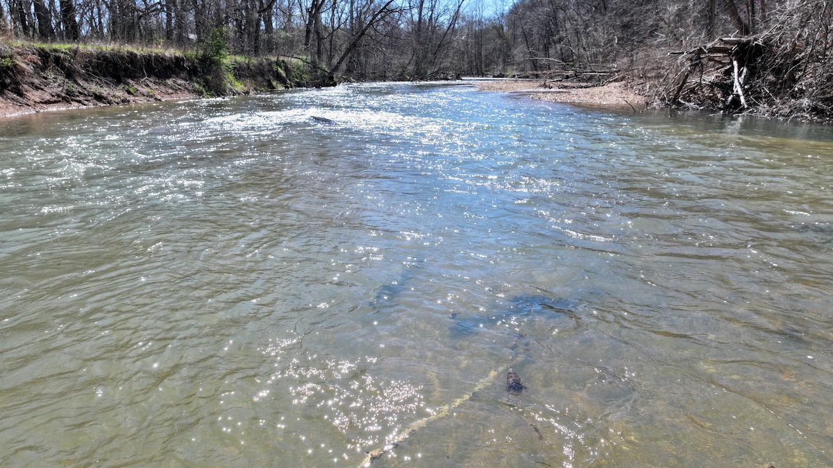 Rare Opportunity For Private Courtois Creek Frontage | Whitetail Properties