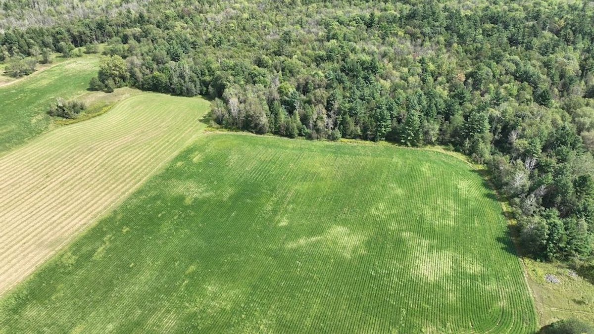 High Quality Tillable Acres And Fabulous Hunting All On One Property ...