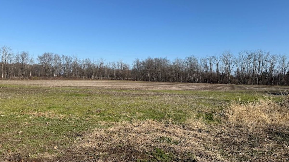 86 Acres Of Prime Farmland And Future Homesites In Holley | Whitetail ...