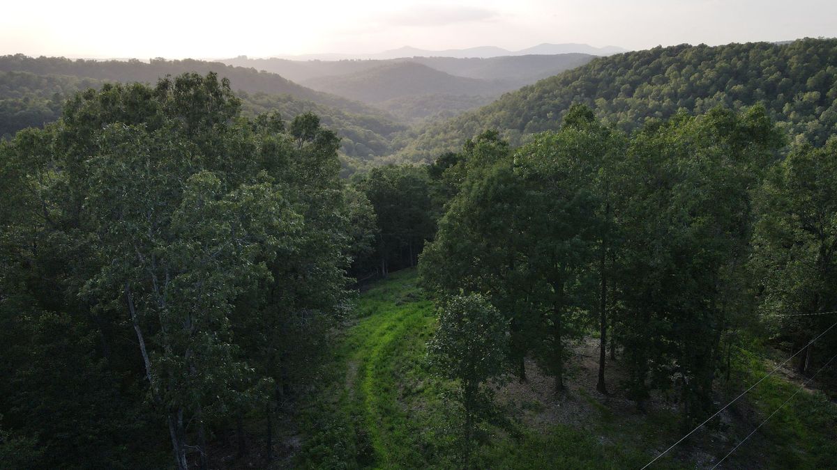 Wooded Building Tract With Breathtaking Mountain Views | Whitetail ...