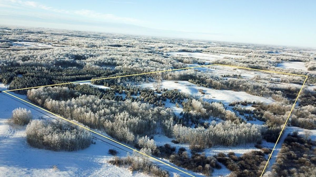 Prime 80 Acres - Timber, Food Plots And Ponds - Clearwater County, MN ...
