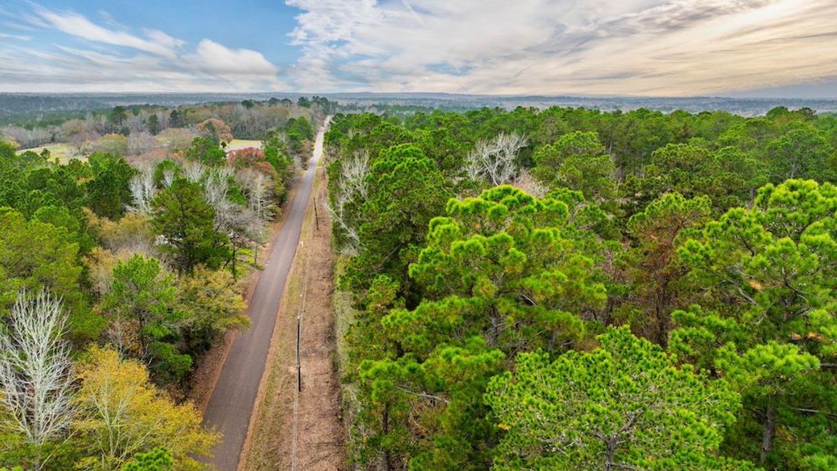 Maxwell Timber Farm | Whitetail Properties